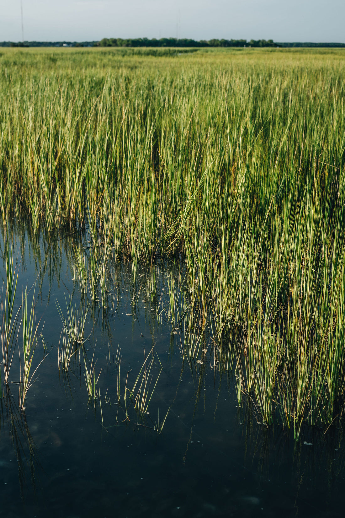 How Refills Work – Wake Refill